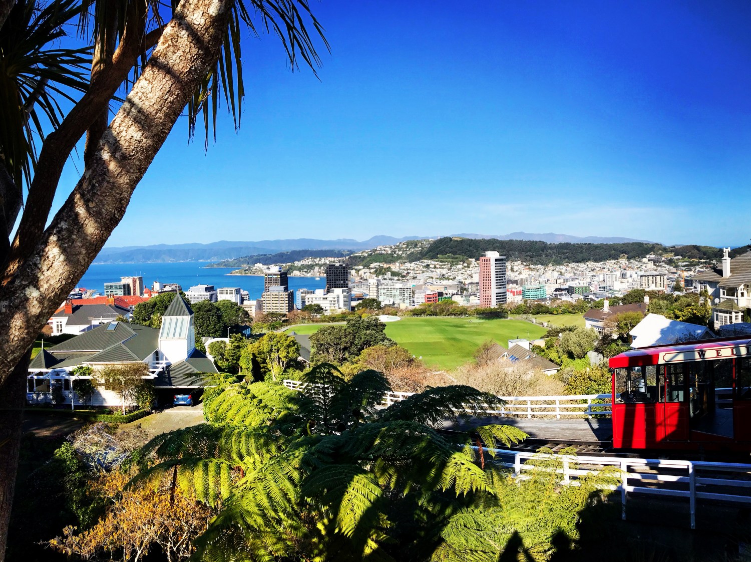 Wellington Button – Goethe Society Wellington